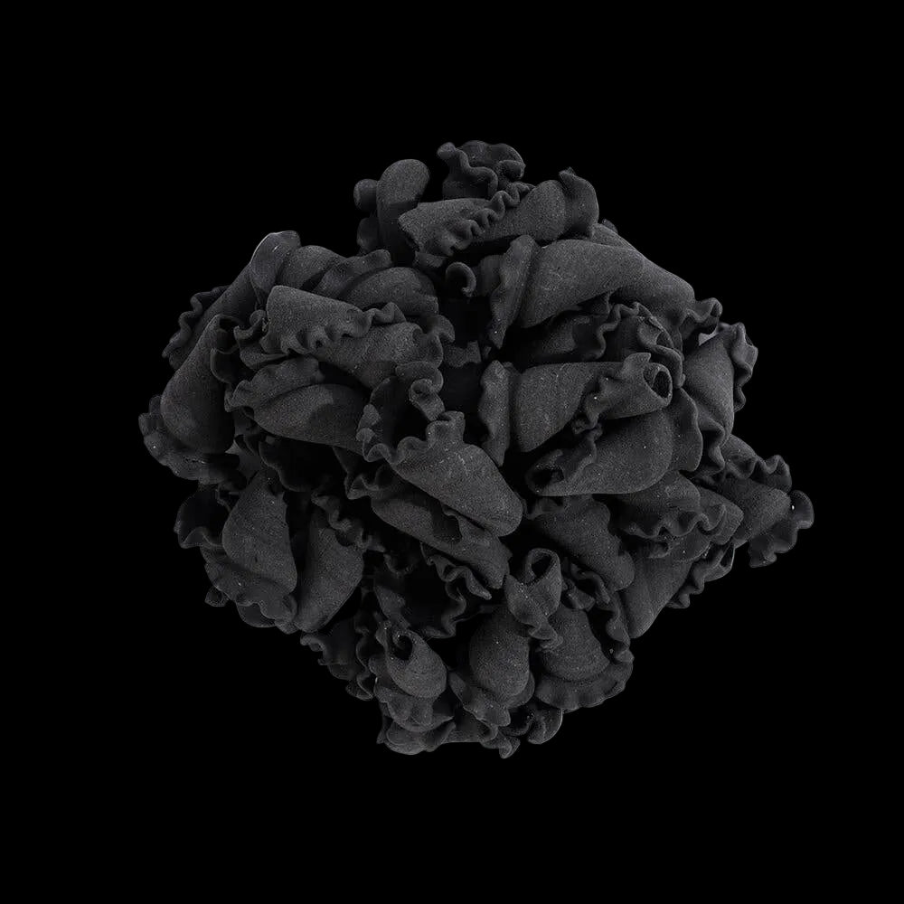 Scratch - Squid Ink Campanelle – Solovey Kitchen